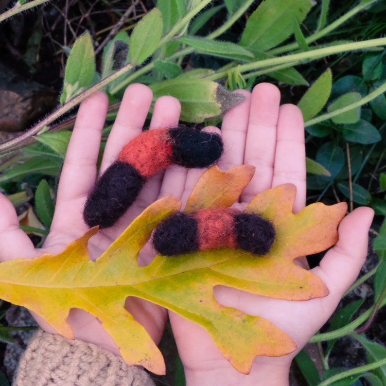 Woolly Bear Caterpillar Folklore EXTENDED With DIY CRAFTS - Etsy