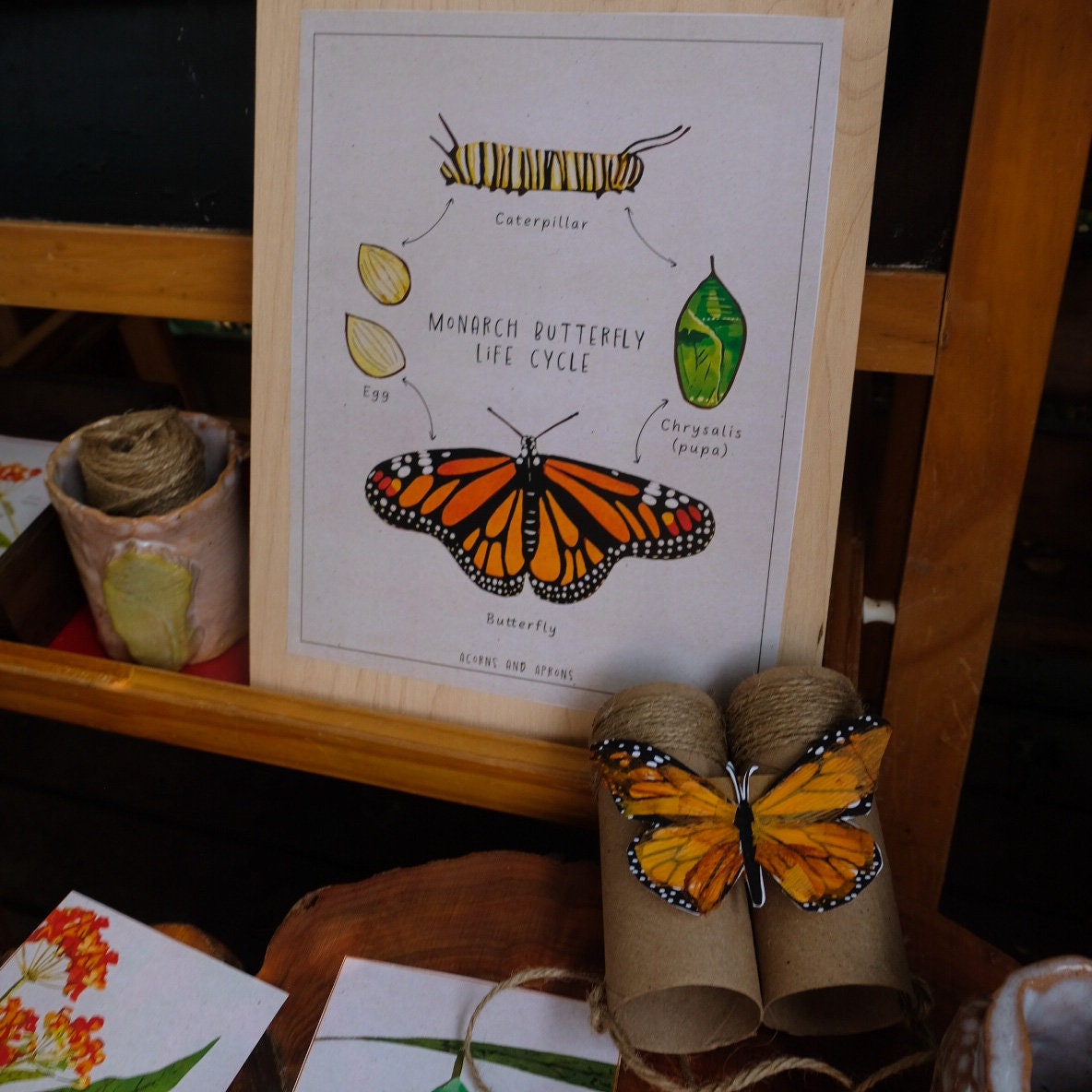 Monarch Butterfly Life Cycle - Etsy