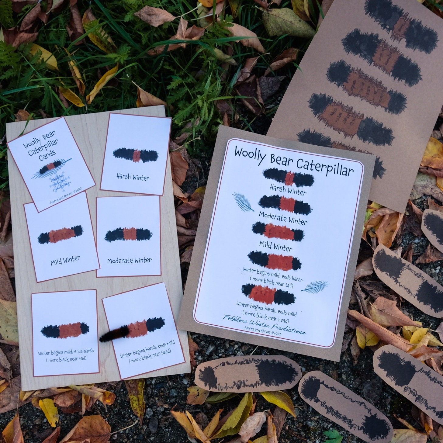 Woolly Bear Caterpillar Folklore EXTENDED With DIY CRAFTS - Etsy