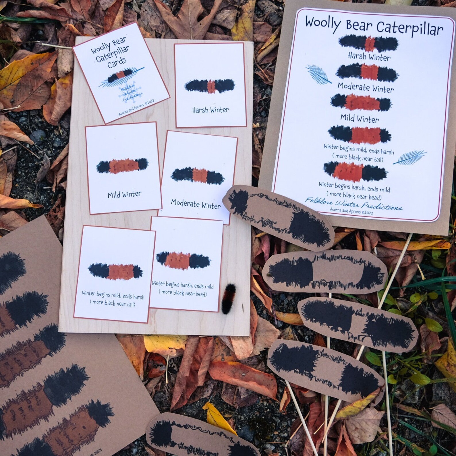 Woolly Bear Caterpillar Folklore EXTENDED With DIY CRAFTS - Etsy