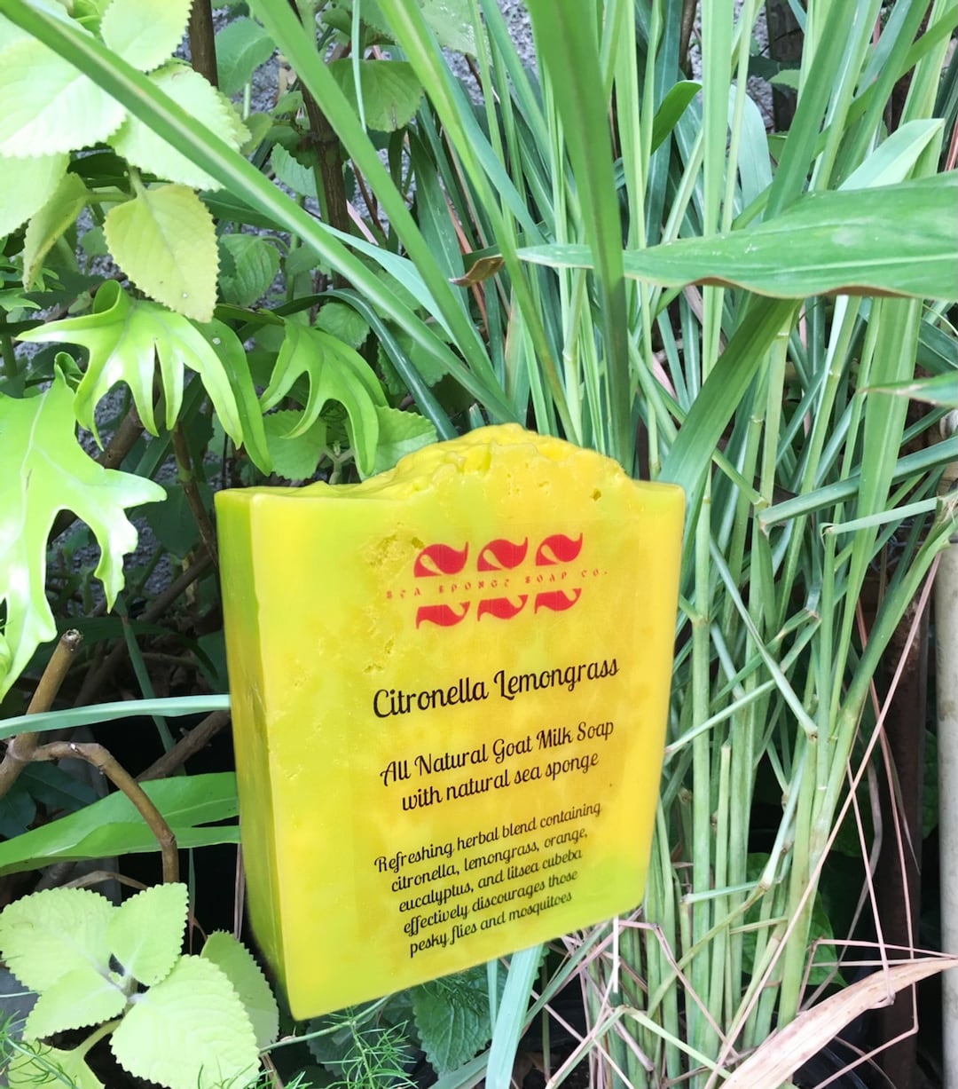 Citronella Lemongrass All Natural Goat Milk Soap With Natural Sea ...