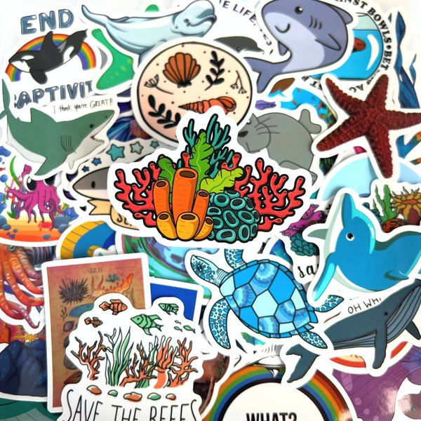 Ocean Theme Classroom - Etsy