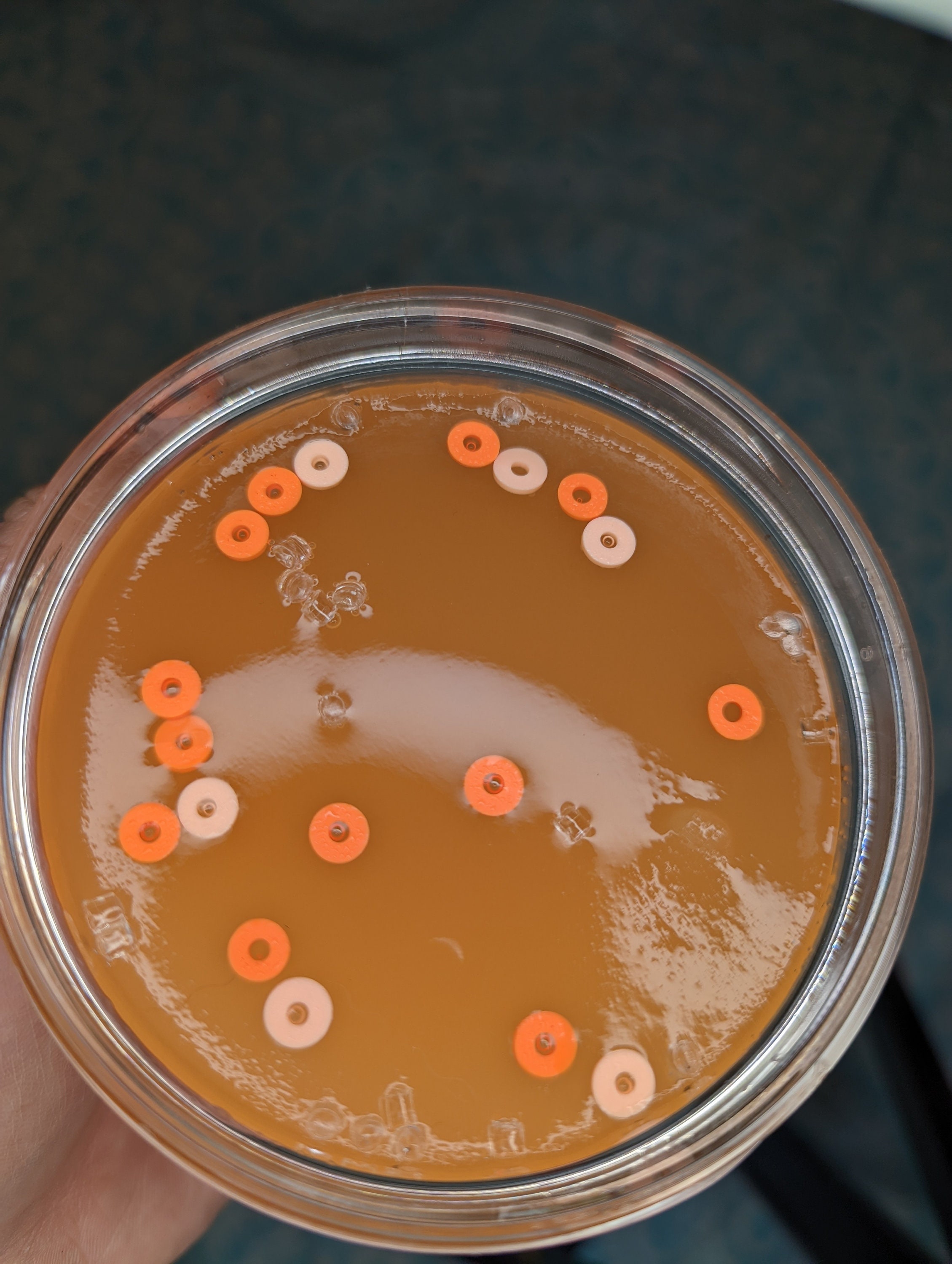 Orange Fanta Slush Slime - Etsy