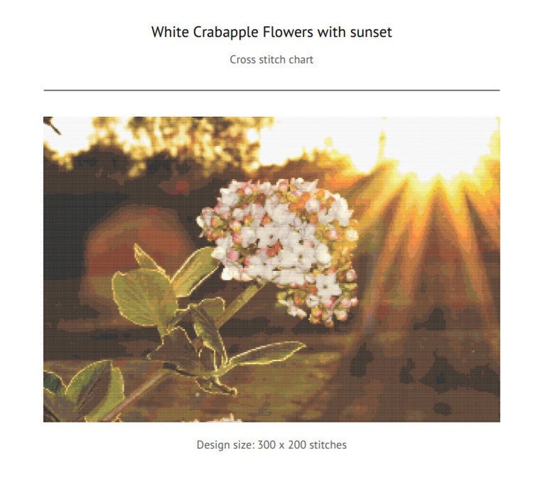 Cross Stitch Counted PDF/ Digital Cross Stitch Chart/ Cross Stitch ...