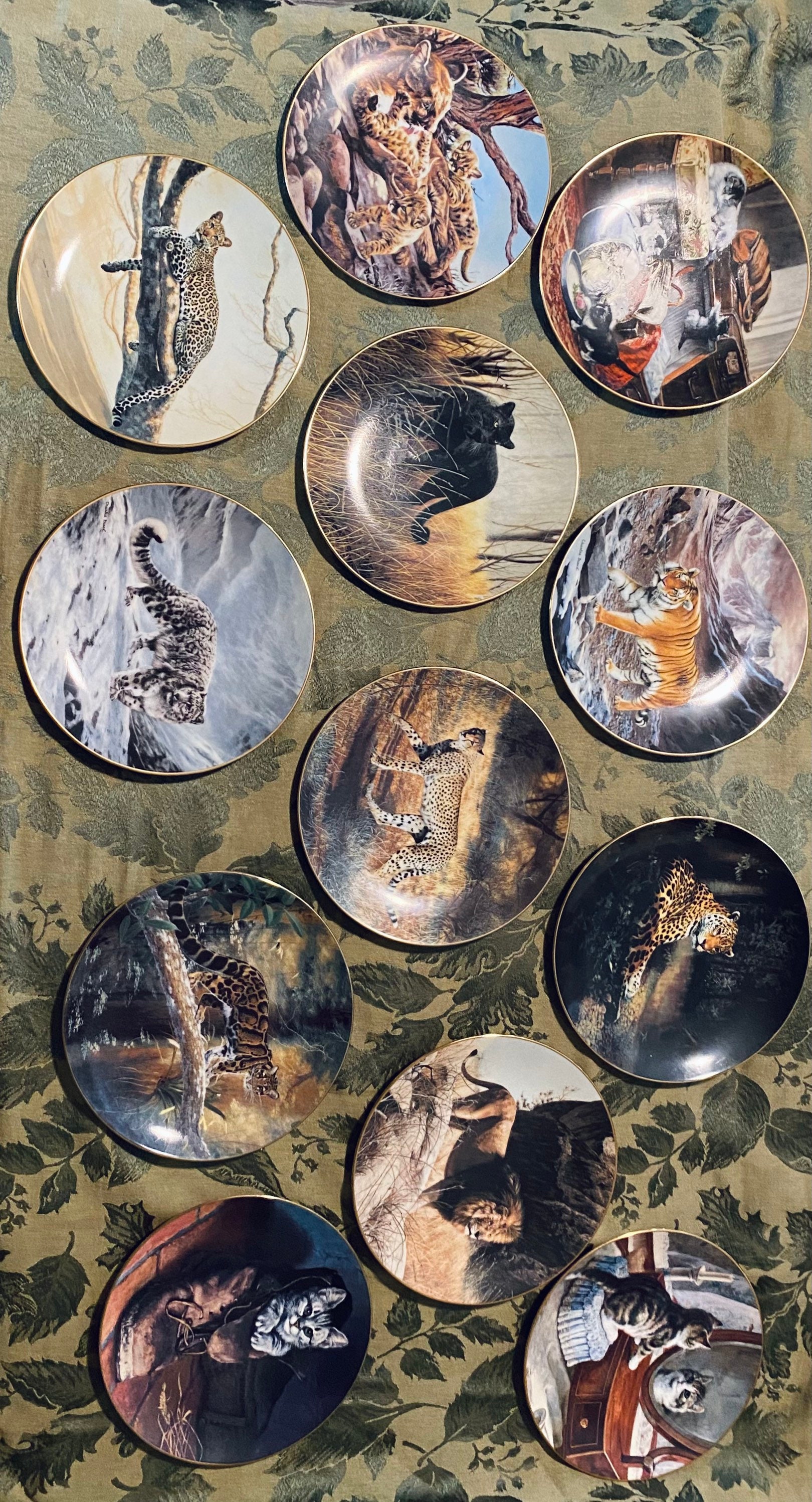 Set of 12 - Charles Frace Cat Plates - Etsy