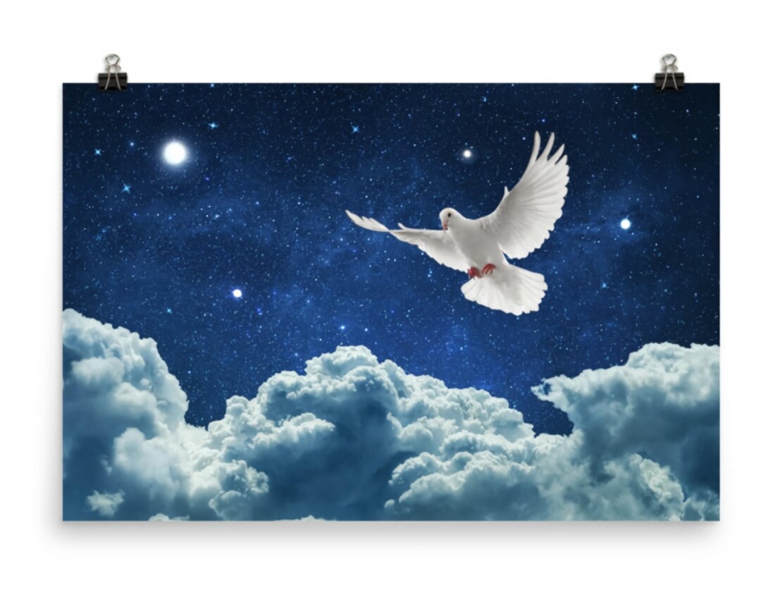 Silverbird Premium Luster Poster - Etsy