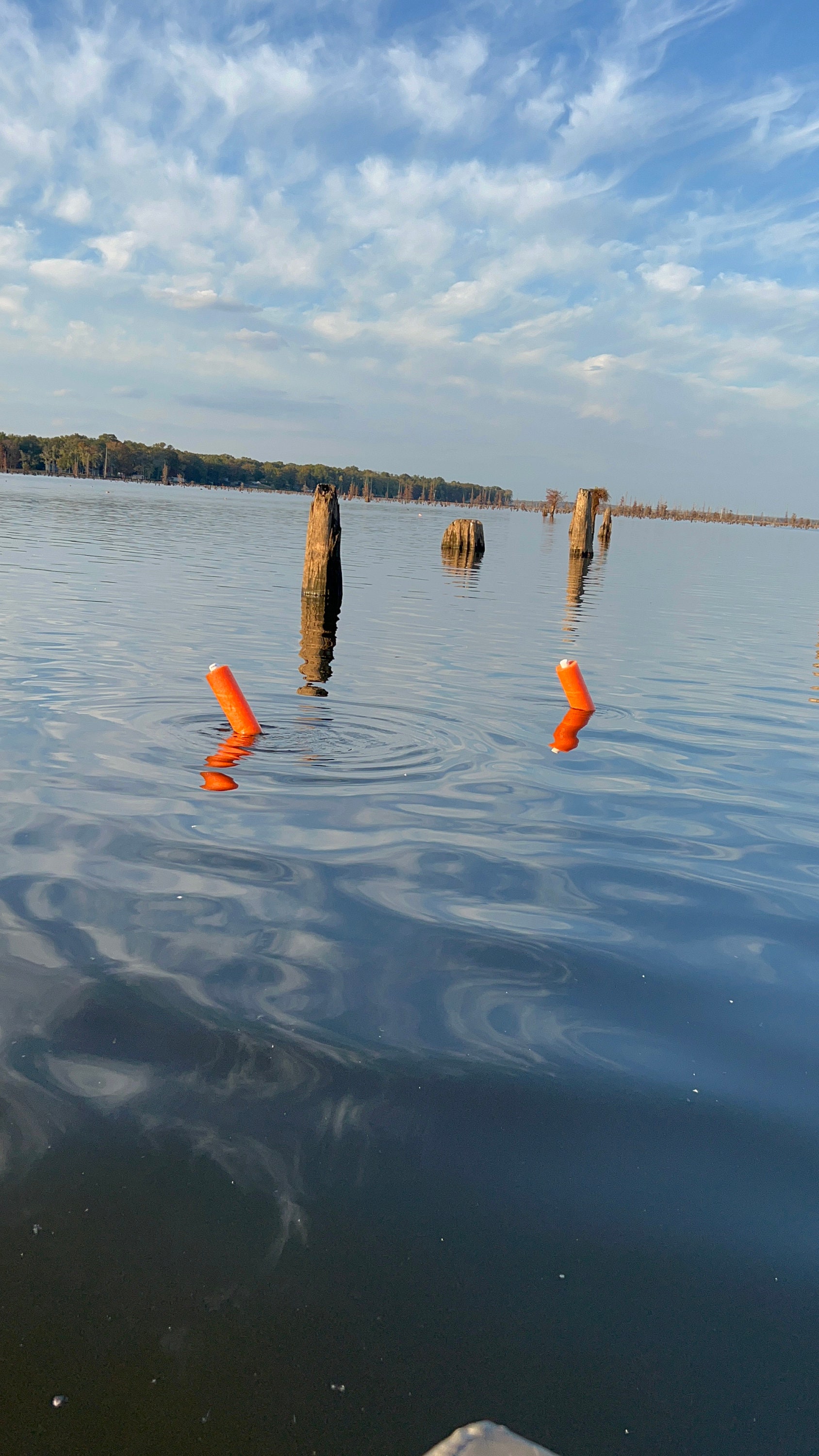 JUMBO Fishing Noodles Set of 5 GREEN 10ft Line/circle Hook | Fishing ...