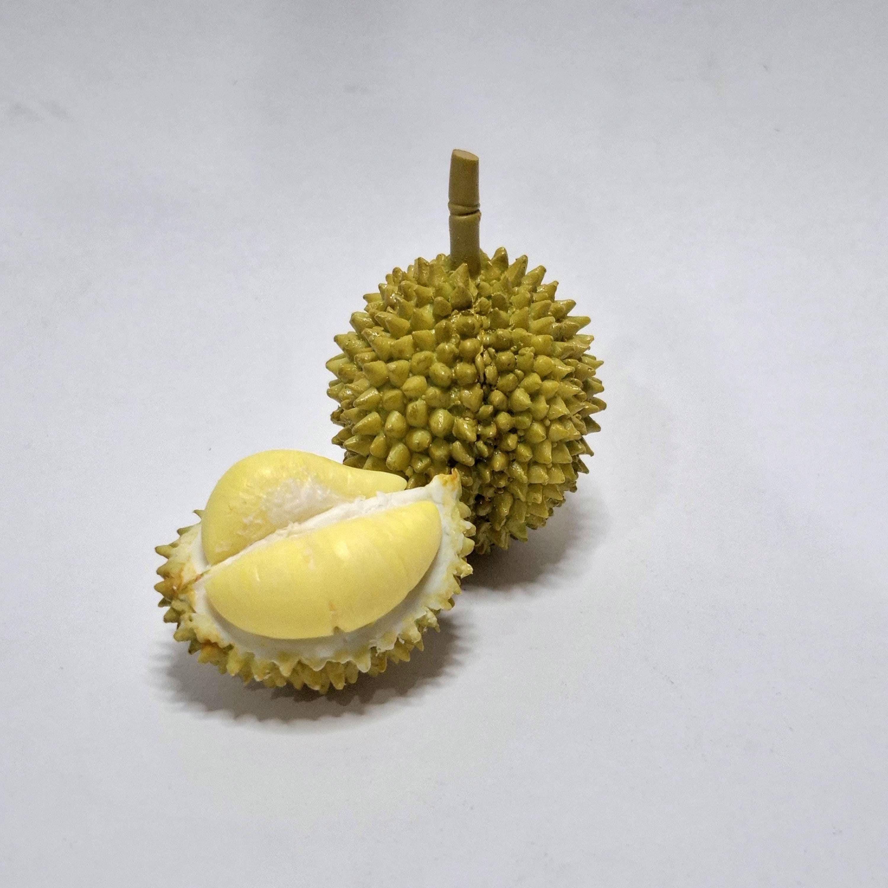 Mini Durian, Miniature Durian, Fruit for Dollhouse, Handmade Miniatures ...