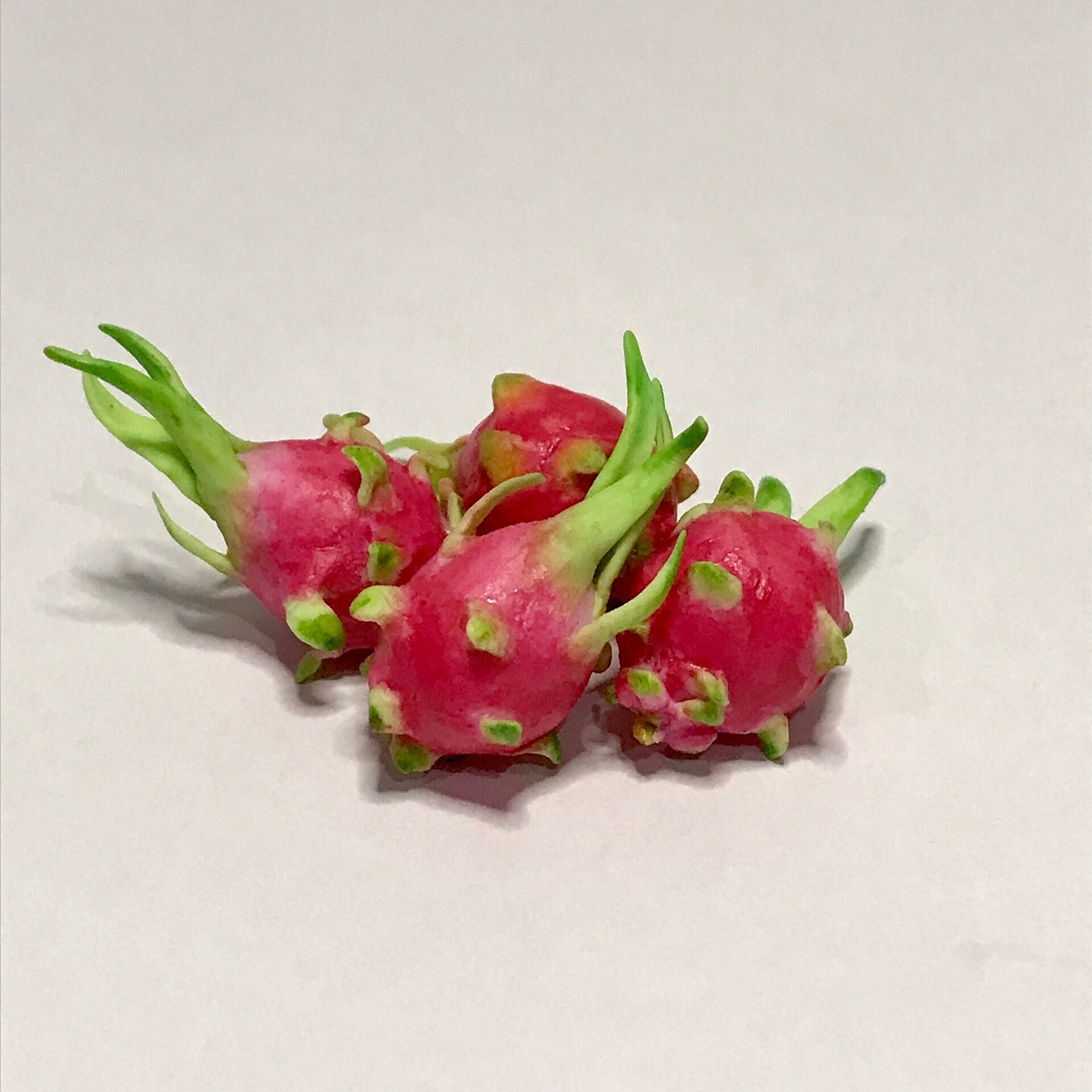 Miniature Dragon Fruit, Mini Fruits, Mini Dragon Fruit, Dollhouse Fruit ...