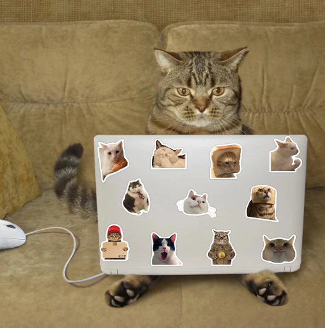 1 Pcs Cute Cats Dogs Sticker Funny Meme Pets Animal Decals - Etsy