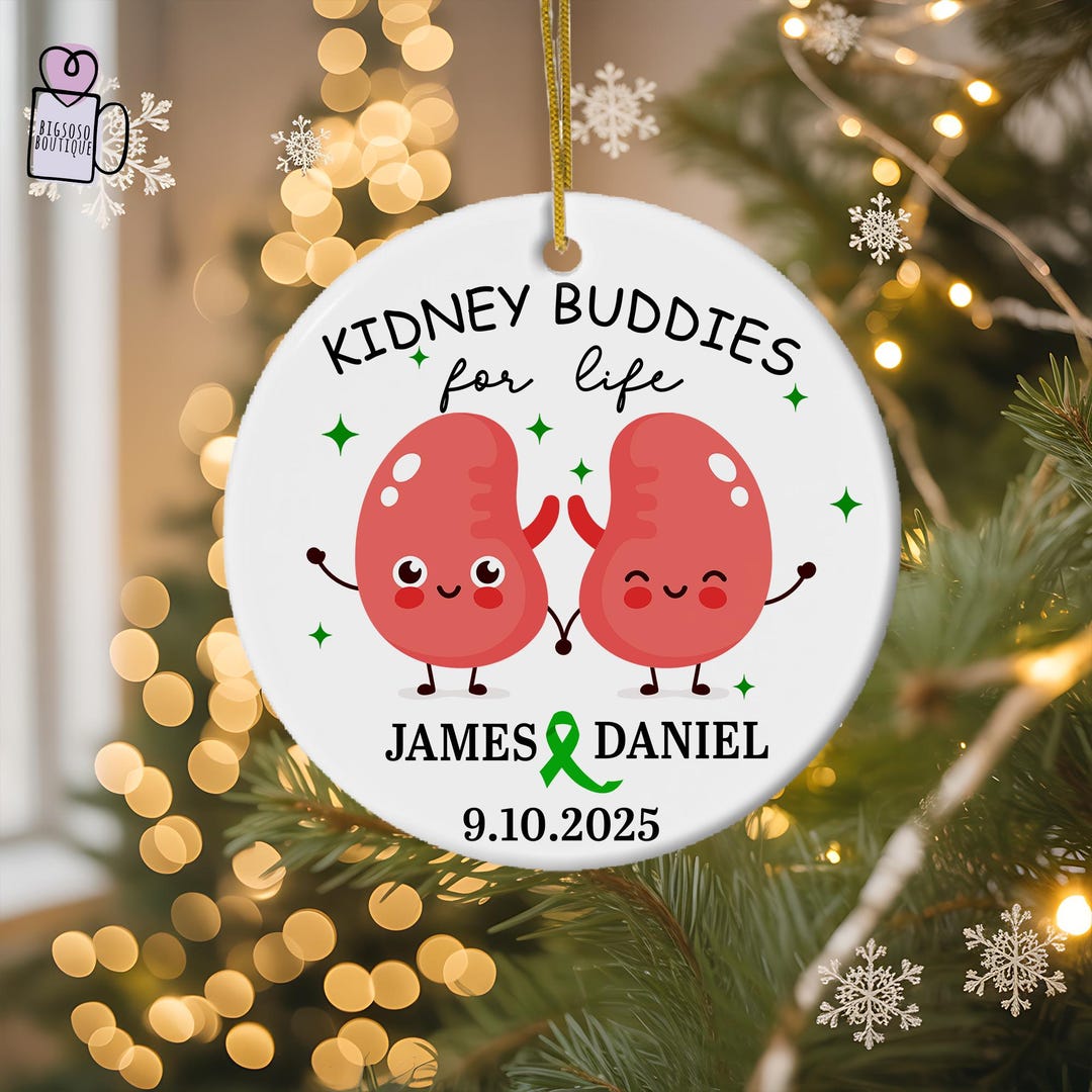 Personalized Kidney Buddies Ornament, Kidney Donor Christmas Ornament ...