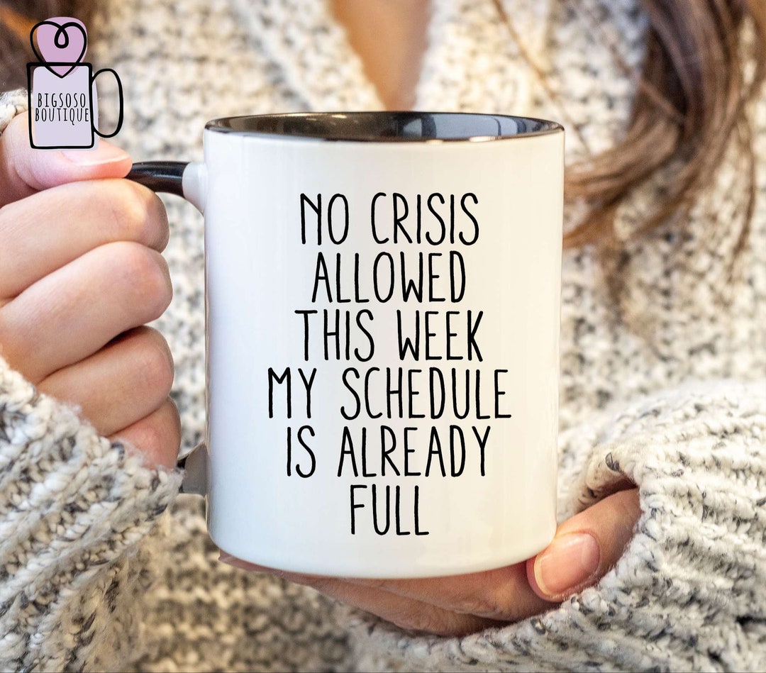 Coworker Gift Coffee Mug Personalized, Funny Coworker Mug, No Crisis ...