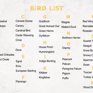 50 Funny Birds Clipart Quirky Animal Graphics PNG Transparent ...