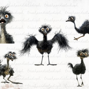 Quirky Emu Clipart Bundle: Funny Cartoon PNG Graphics (digital Download ...