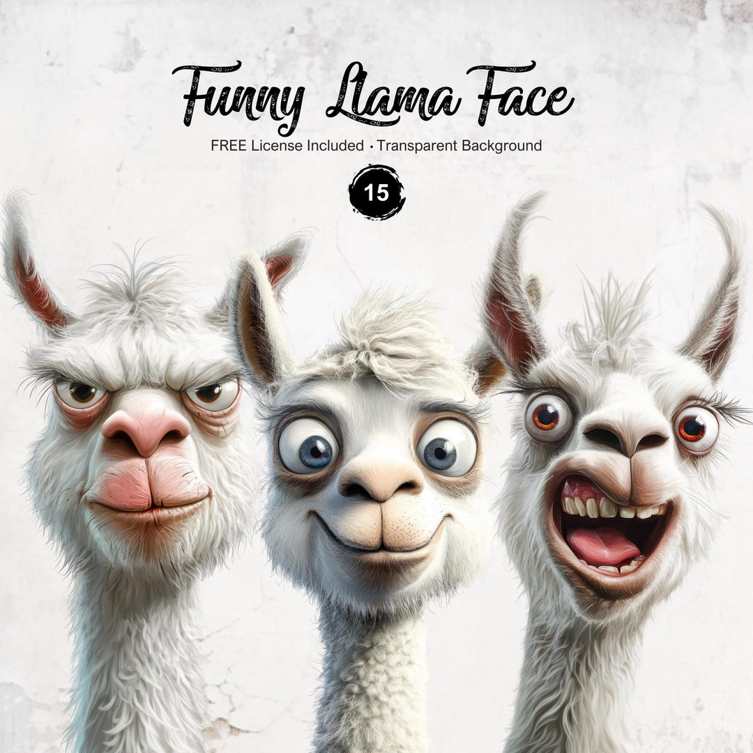 Funny Llama Face Clipart Transparent PNG Graphics Quirky Animal ...