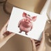 Funny Pigs Clipart Bundle PNG Download, 300 DPI High Quality Graphics ...