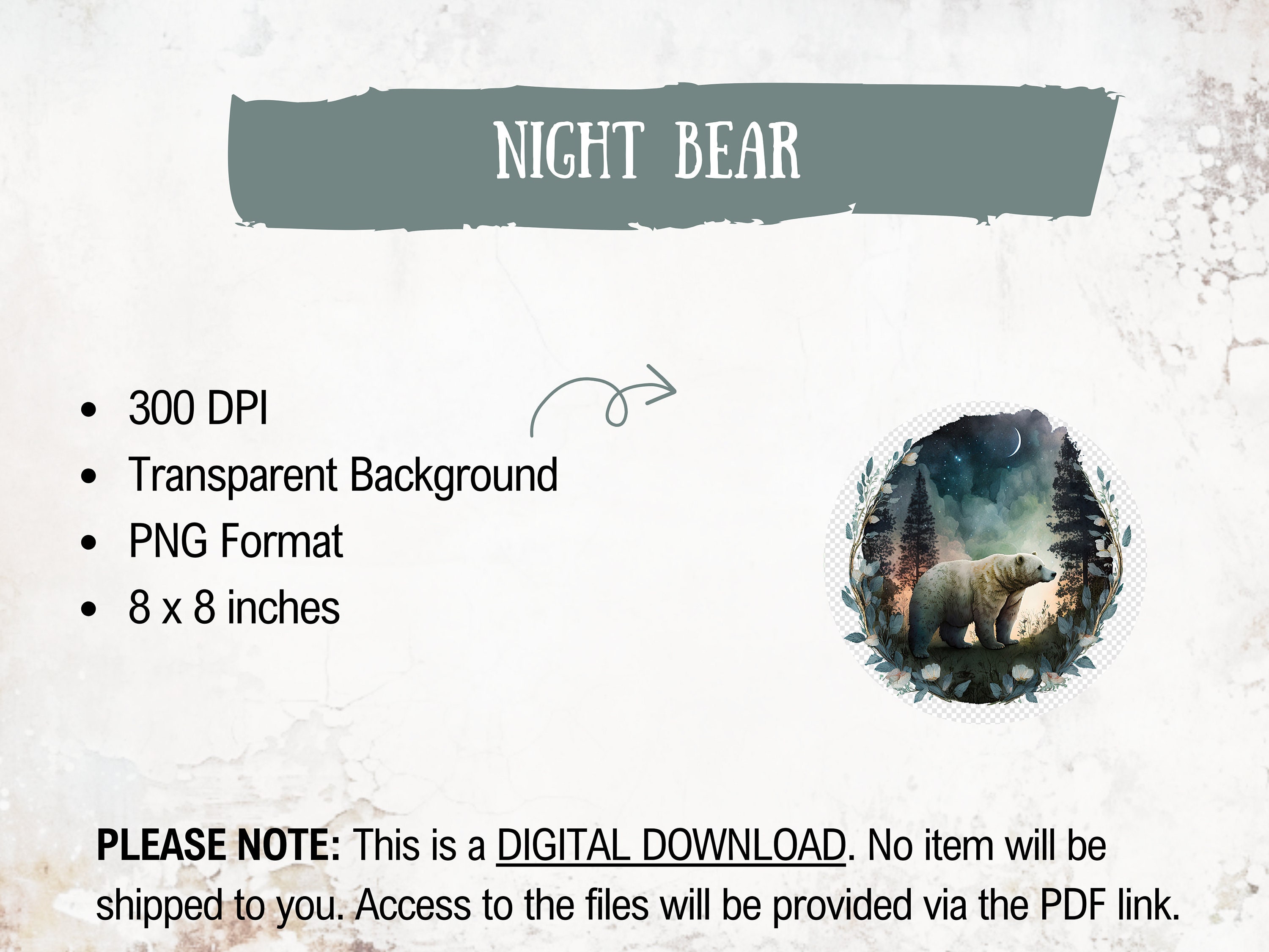 Night Bear Clipart Bear Under the Stars Nocturnal Forest - Etsy