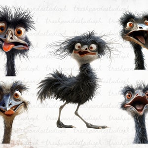 Quirky Emu Clipart Bundle, Funny Emu Cartoon PNG, Bird Graphics ...