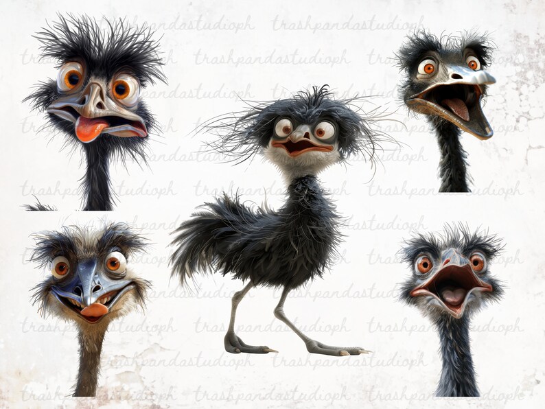 Quirky Emu Clipart Bundle: Funny Cartoon PNG Graphics (digital Download ...