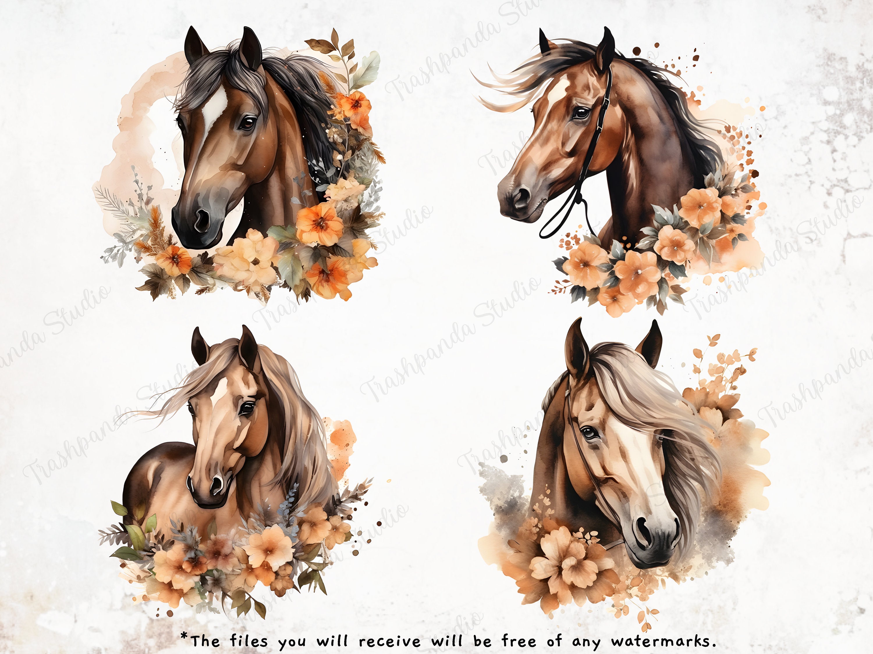 Horse Clipart Watercolor Printable Graphics Brown Floral Pony Images ...