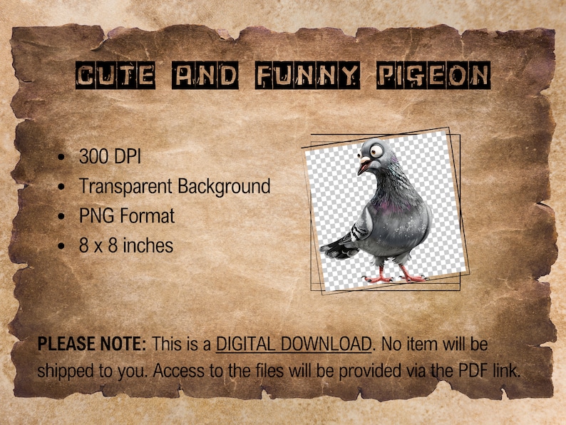 Funny Pigeon Clipart Bundle: Whimsical Bird PNG (digital Download ...