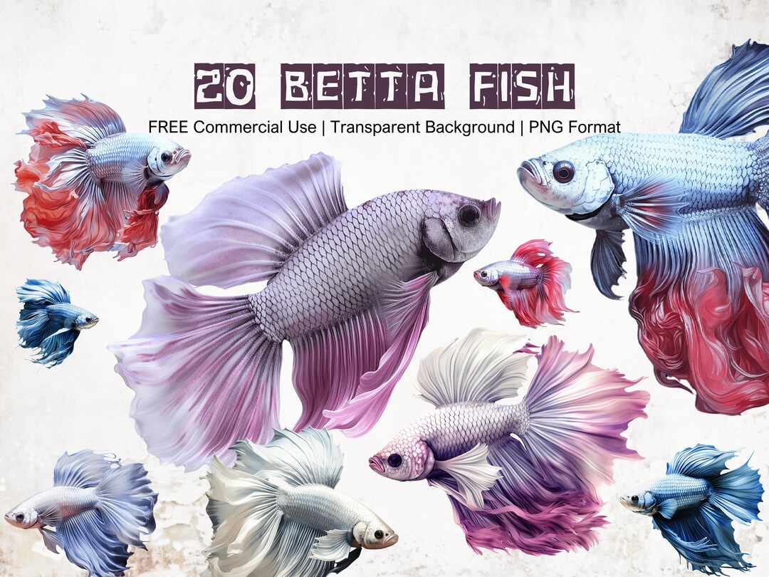 Betta Fish Clipart Collection Watercolor Marine Life Printable Fish ...