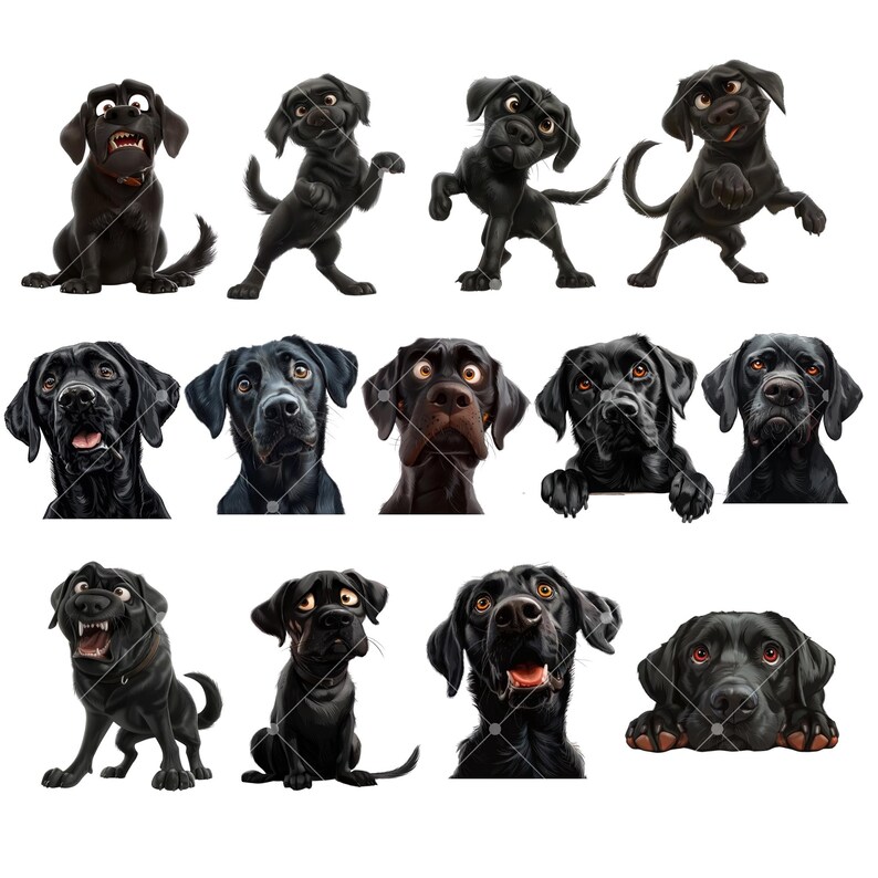 Quirky Black Labrador Retriever Clipart, Dog PNG Graphics, Funny Animal ...