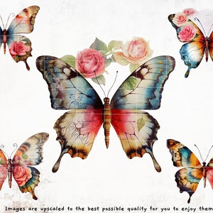 Vibrant Watercolor Butterfly Clipart for Scrapbooking and Crafts, High ...
