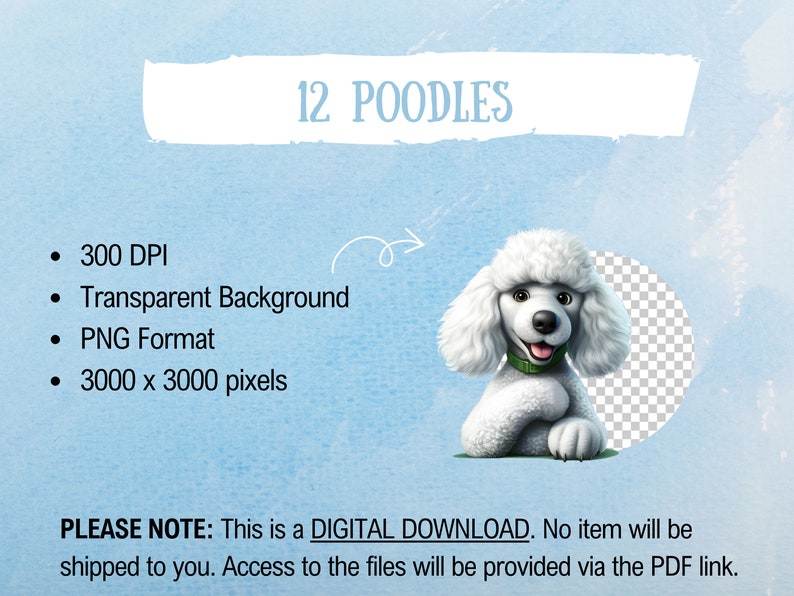 Poodle Clipart High Quality Cartoon Graphics With Transparent ...
