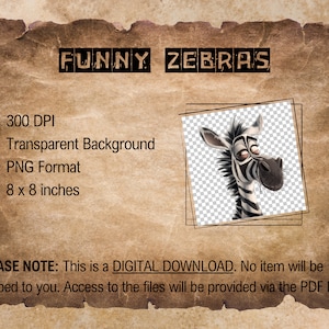 Funny and Humorous Zebra Clipart Bundle, Whimsical Comic Zebras, Funny ...