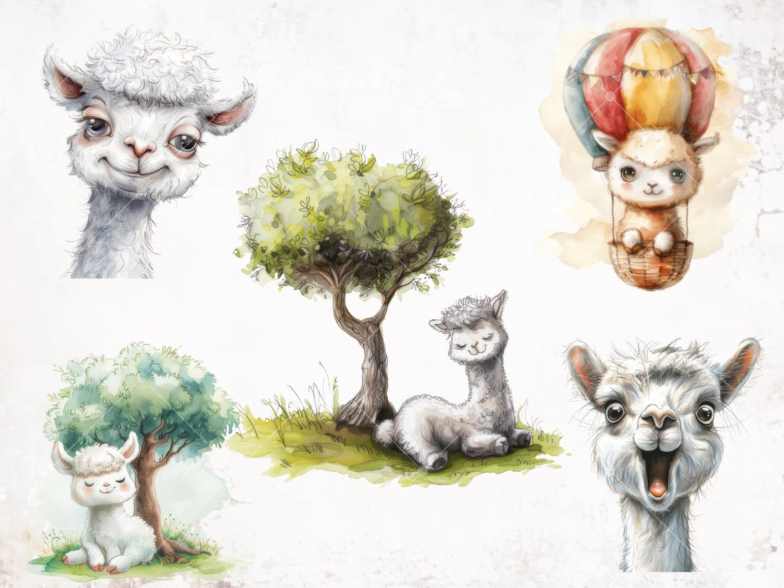 Alpaca Clipart Transparent Background Cute Alpaca Graphics for Animal ...