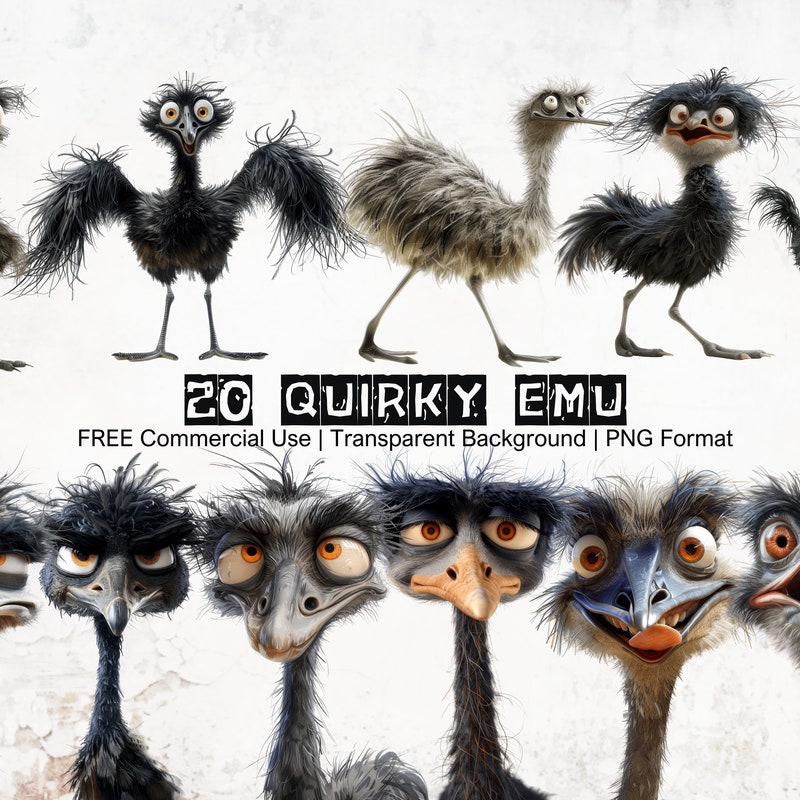 Cartoon Emu - Etsy