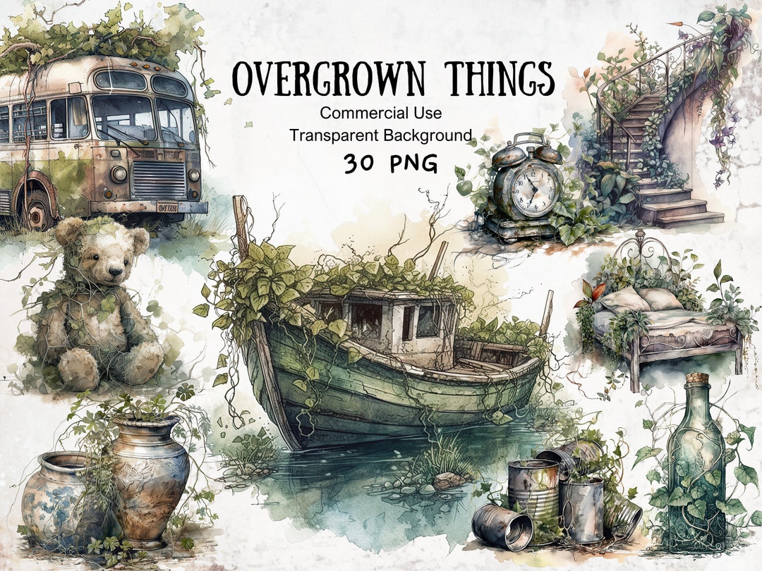 Overgrown Things Clipart Bundle: Watercolor Mossy Objects (digital ...