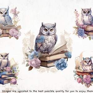 Owl and Book Pastel Watercolor, Floral Owl and Book, Fantasy Clipart ...