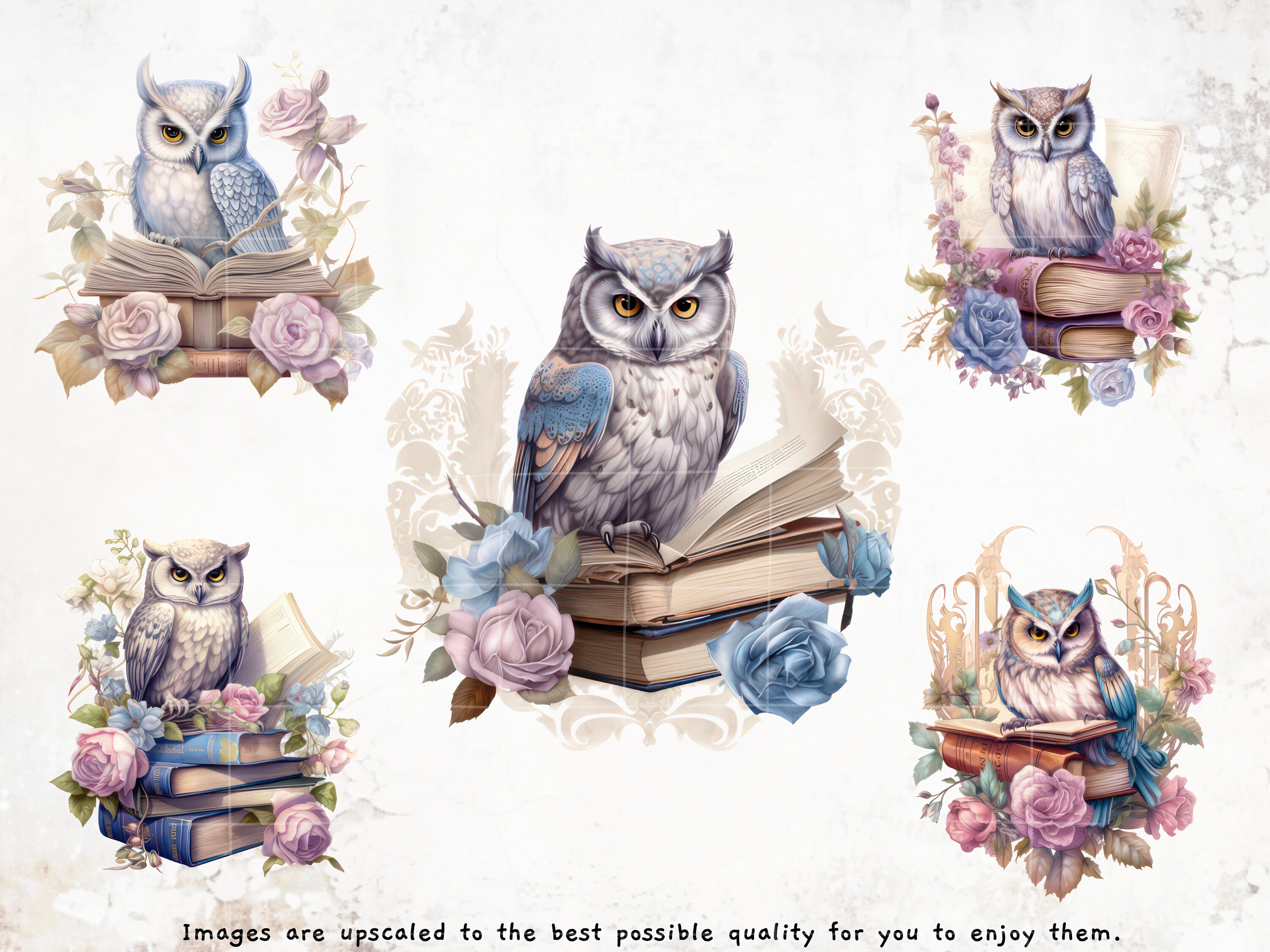 Owl and Book Pastel Watercolor, Floral Owl and Book, Fantasy Clipart ...