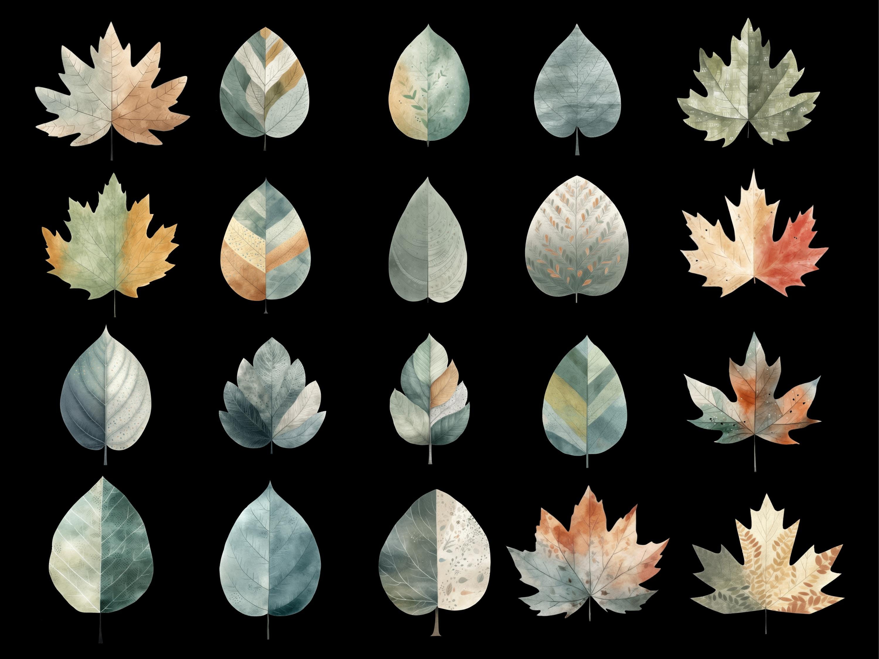 Leaves Clipart Boho Printable Foliage Sublimation Downloadable Graphics ...
