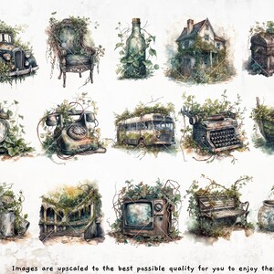 Overgrown Things Clipart Bundle: Watercolor Mossy Objects (digital ...