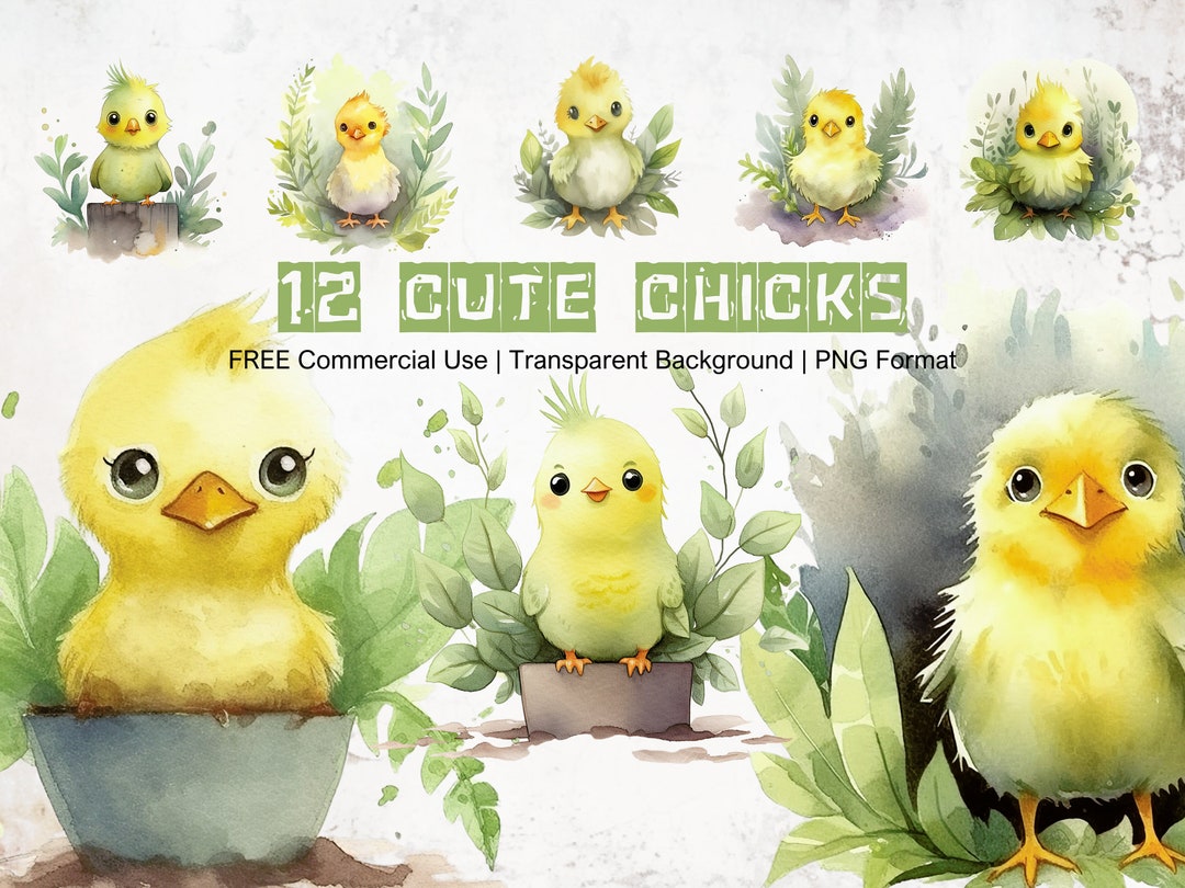Cute Chicks Clipart Whimsical Chicken Illustrations Watercolor Graphics ...