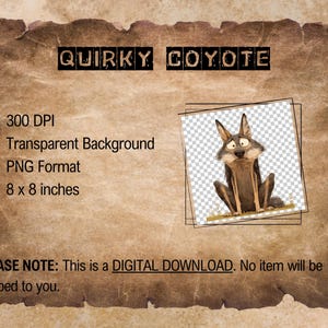 Quirky Coyote Clipart Funny Animal Graphics With Transparent Background ...