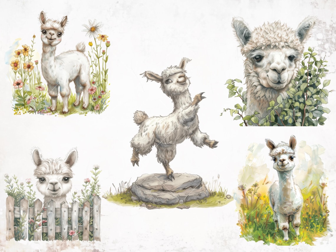 Alpaca Clipart Transparent Background Cute Alpaca Graphics for Animal ...