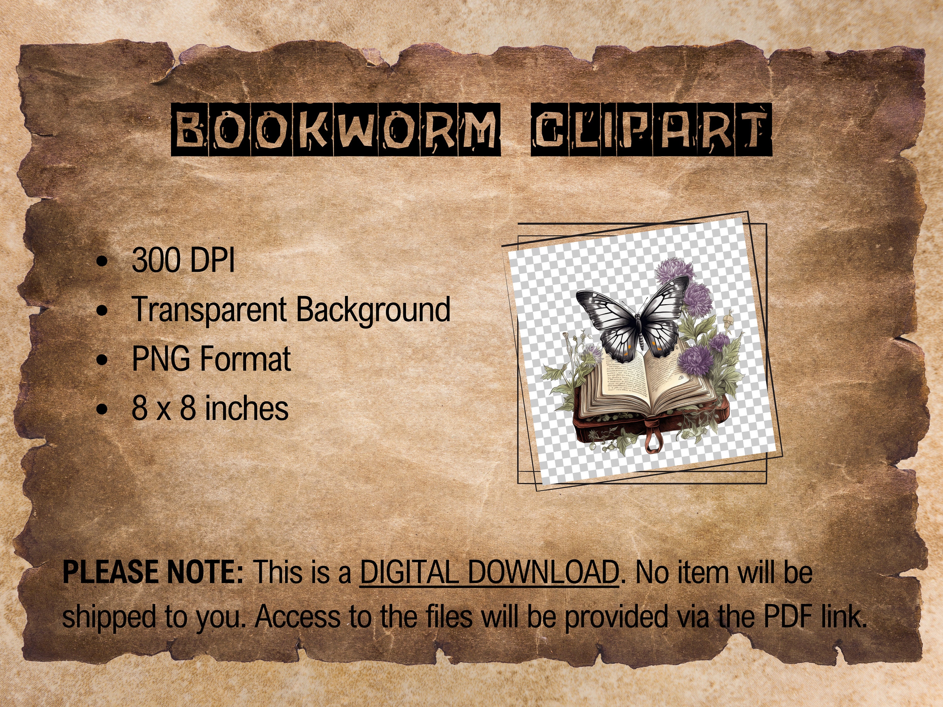 Bookworm Fantasy Clipart Bundle, Whimsical Literary Graphics for ...