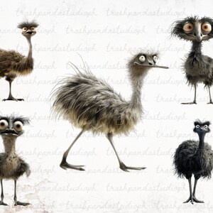 Quirky Emu Clipart Bundle: Funny Cartoon PNG Graphics (digital Download ...