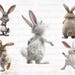 Quirky Bunnies Clipart Bundle, Funny Bunny Graphics PNG, Humorous ...