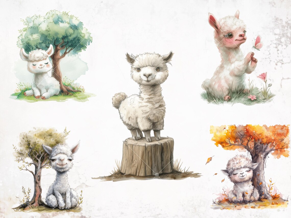 Alpaca Clipart Transparent Background Cute Alpaca Graphics for Animal ...