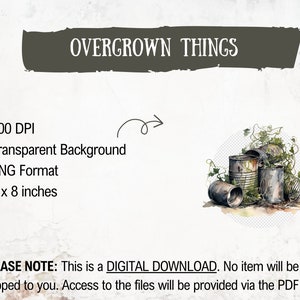 Overgrown Things Clipart Bundle: Watercolor Mossy Objects (digital ...
