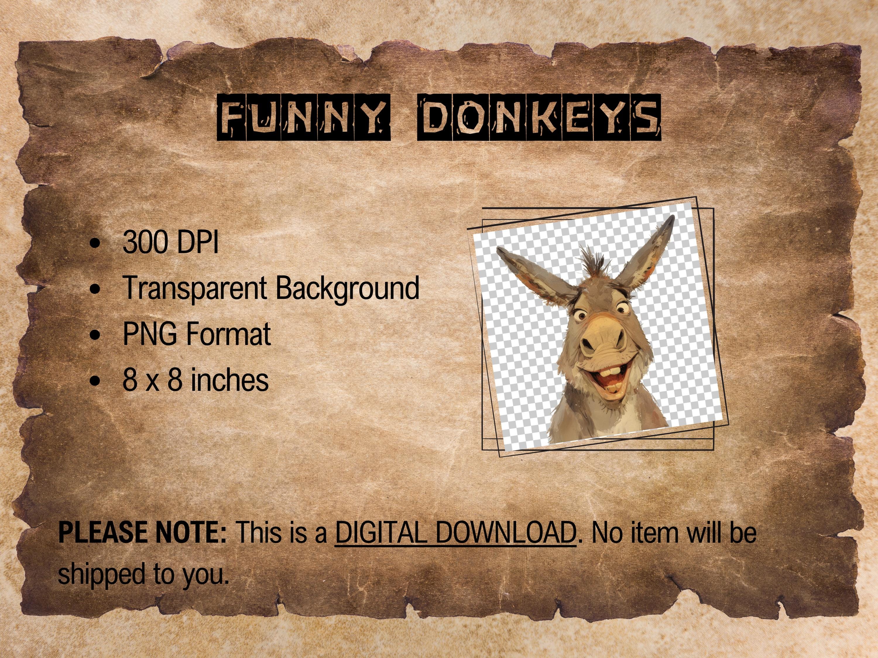 Funny Donkey Faces Clipart Bundle Hilarious Animal PNG Cartoon Graphics ...