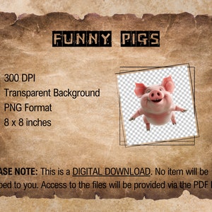 Funny Pigs Clipart Bundle PNG Download, 300 DPI High Quality Graphics ...