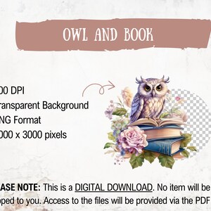 Owl and Book Pastel Watercolor, Floral Owl and Book, Fantasy Clipart ...
