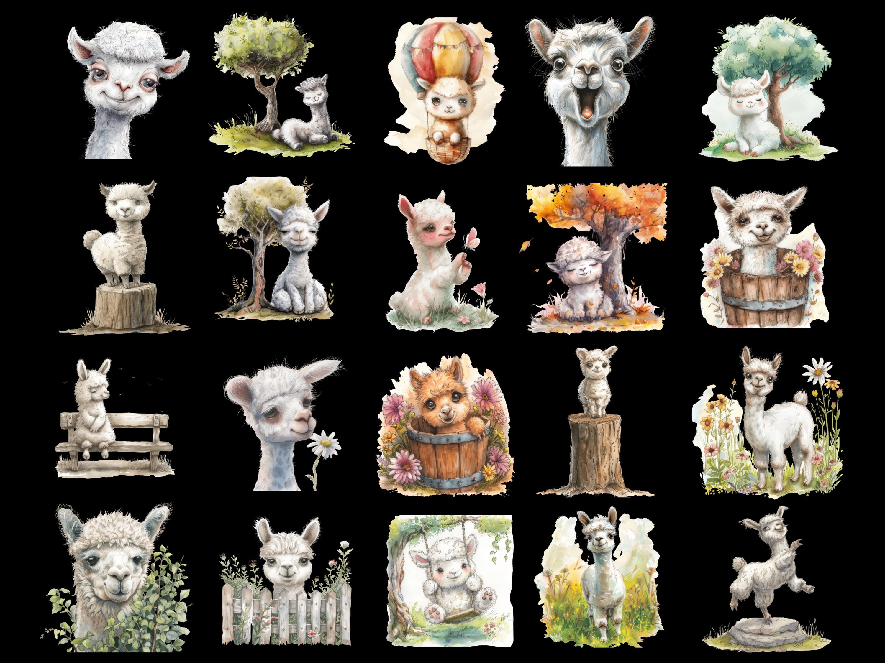 Alpaca Clipart Transparent Background Cute Alpaca Graphics for Animal ...