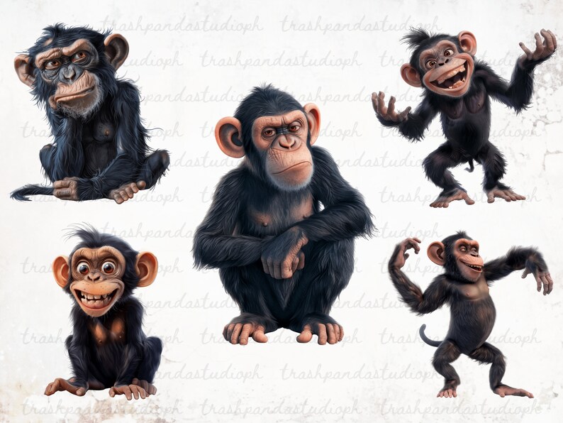 Funny Chimpanzee PNG Clipart, Hilarious Chimpanzee Face and Movements ...
